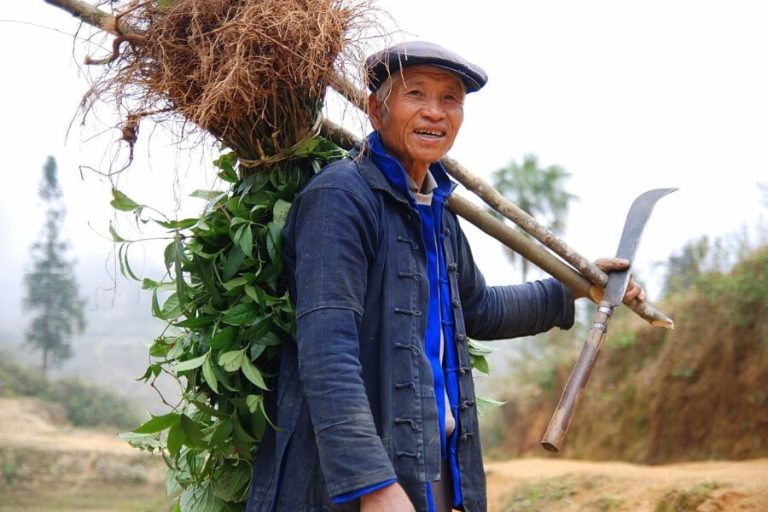 Chinese People – Characteristics and Lifestyle - China Local Tours